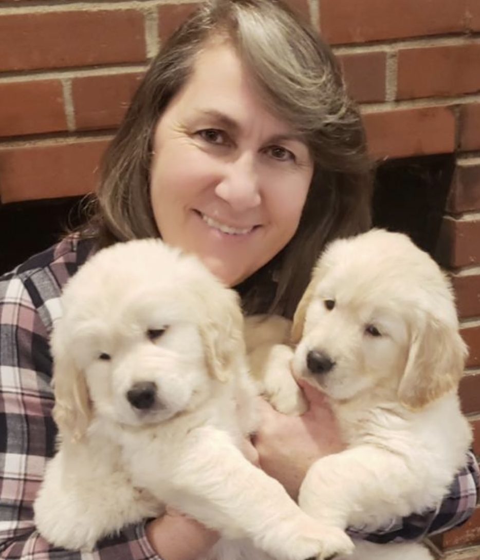 PUPPIES!! – Pawsh Puppies